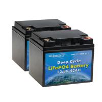 China 3500 Times Cycle 42Ah 12V LiFePO4 Battery Pack for sale