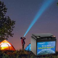 China 3500 Times Cycle 42Ah 12V LiFePO4 Battery Pack for sale