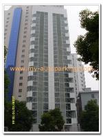 China Hospital, Shopping Center, Government Project / Intelligent Auto Parking System/ Tower Car Parking Systems for sale