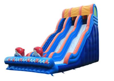 China Garden Outdoor Inflatable Water Slide , Big Party Cartoon Toddler Water Slide for sale