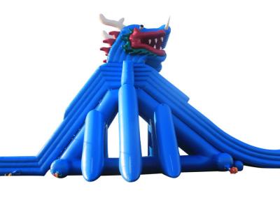 China Blue Dragon Adult / Kids Inflatable Water Slide High Durability PVC Material for sale