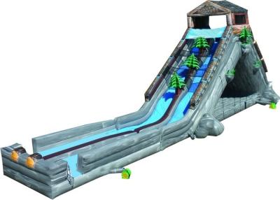 China Toddler Big Blow Up Water Slides , High Strength Tarpaulin Bouncy Castle Water Slide for sale