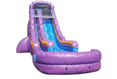 China Home Big Party Kids Inflatable Water Slide Blue Purple Outdoor Playground Slide for sale