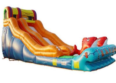 China Kindergarten Baby Kahuna Large Inflatable Slide Inflatable Fun Slide Fire Resistance for sale