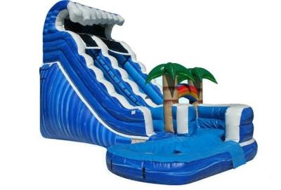 China Forest Adventure Inflatable Water Slide And Pool , Bouncy Double Water Slide for sale