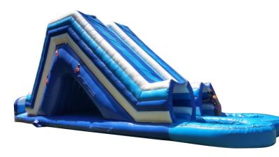 China Entertainment Inflatable Tube Water Slide , Toddler Commercial Blow Up Slippery Slide for sale