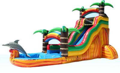 China Water Park 2 In 1 Pool  Kids Inflatable Water Colorful Slide Fire Retardant For Outdoor Activities for sale