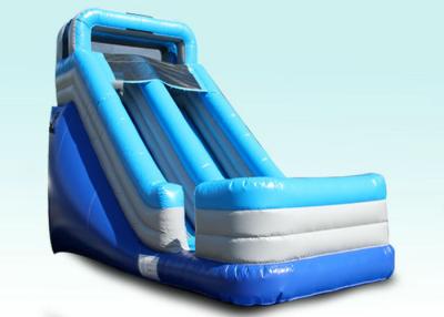 China Commercial Grade Large Inflatable Slide 0.55MM PVC Tarpaulins ODM for sale
