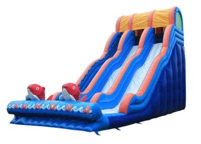 China Large Inflatable Slide Inflatable Water Slide  Party Slide For Kids and Adults for sale