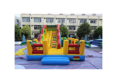China Basic Commercial Grade Inflatable Bouncer Combo For Outdoor Activities for sale