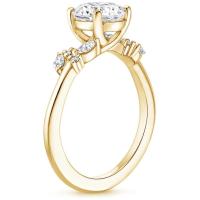 China Arden Diamond Engagement Ring With 0.75 Carat Round Diamond In 9k Yellow Gold for sale
