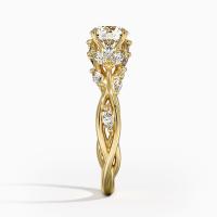 China Secret Garden Diamond Engagement Ring  For Women Or Girls for sale