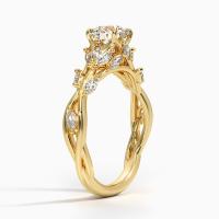 China Secret Garden Diamond Engagement Ring  For Women Or Girls for sale