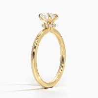 China Secret Halo Diamond Elegant Engagement Ring Features Hidden Halo for sale