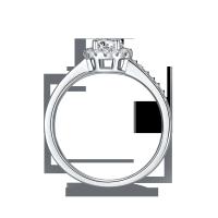 China Main Stone Round Pattern Cut 9k Moissanite 925 Silver Women Ring for sale