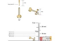 China Helix Gold Body Piercing Jewelry Earring Barbell shape 5mm 8mm 10mm Dimension for sale