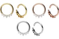 China Surgical Hinged 14K Gold Clicker 5 Outer Claw Set Type Hypoallergenic for sale