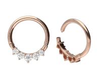 China Surgical Hinged 14K Gold Clicker 5 Outer Claw Set Type Hypoallergenic for sale