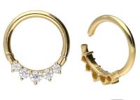 China Surgical Hinged 14K Gold Clicker 5 Outer Claw Set Type Hypoallergenic for sale