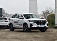 China Large Space Gasoline Car Ruixiang X5 Multi Functional Overlarge Family SUV for sale