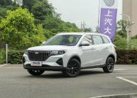 China Large Space Gasoline Car Ruixiang X5 Multi Functional Overlarge Family SUV for sale