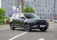 China 1.5T Sporty 7 Seater SUV Baic Ruixiang X5 Multi Functional Fuel SUV for sale
