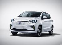 China 310km EV Hatchback Electric Vehicle Changan Benben E Star New Energy Car for sale