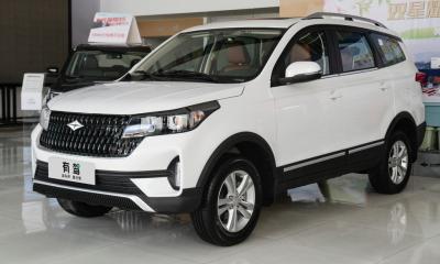 China 48L Gasoline Family SUV With 7 Seats Home Use Elegant  BAIC Ruixiang for sale
