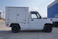China 4kw 50km/H EV Pickup Truck 2 Seats Cargo Electric Delivery Van With Box for sale