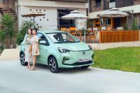 China Four Wheel EV Hatchback Electric Vehichle Family Sedan Battery Car 55 KW for sale