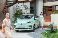 China Four Wheel EV Hatchback Electric Vehichle Family Sedan Battery Car 55 KW for sale