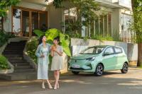 China Four Wheel EV Hatchback Electric Vehichle Family Sedan Battery Car 55 KW for sale