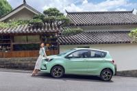China Four Wheel EV Hatchback Electric Vehichle Family Sedan Battery Car 55 KW for sale