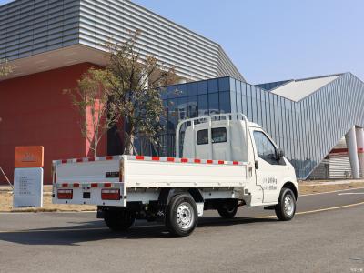 China Pure Engergy Pickup Truck Revolutionary Side Door Form For Efficient Transportation for sale