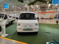 China Lithium Battery Electric Cargo Van 220KM Mileage 2 Seats Minivan 38.4 Kwh for sale