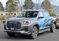 China 2024 Popular 4WD Mini Pickup Truck 2.0T Diesel With Cheap Price for sale