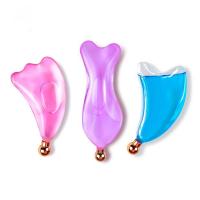 China Customisation Ice Guasha Massage Face Lift Skincare Tools Cooling Beauty Facial Ice Globes Gua Sha Massage Tool for SPA for sale