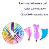 China Customisation Ice Guasha Massage Face Lift Skincare Tools Cooling Beauty Facial Ice Globes Gua Sha Massage Tool for SPA for sale