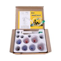 China Traditional Chinese Cupping Therapy Made Easy with 12pcs Cupping Set and Suction Pump Cups for sale