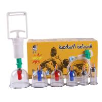 China Traditional Chinese Cupping Therapy Made Easy with 12pcs Cupping Set and Suction Pump Cups for sale