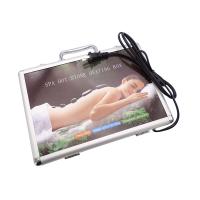 China 220V 110V Personal Health Care Hot Massage Stone Set with Aluminum Heating Box and 16pcs Basalt Energy Stones for sale