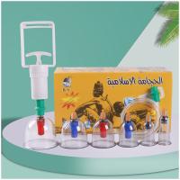 China Healthy Vacuum Cupping Jar Plastic Cupping Set for Anti Aging Function 24*13*8.2cm for sale