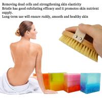 China Smell Removing Bamboo Wooden Skin Care Dry Body Brush Boar Bristles Bath Dry Brush With Handle For Dehumidification for sale