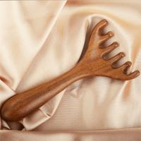 China Unlock Your Beauty Deer Antler Shape Scalp Meridian Massager Head Gua Sha Massage Comb For Face and Body Relaxation for sale
