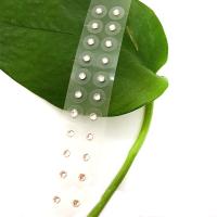China Massage Function Chinese Medicine Apparatus Ear Seeds Acupuncture Kit for Weight Loss Seed Bead Earing for sale