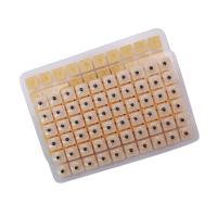 China Acupuncture Needles Function massage 600 Pieces/Box Disposable Ear Press Seeds Multi-condition Ear Seed Acupressure Kit for sale