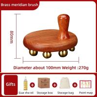 China Body Massage Equipment Household Handheld Brass Solid Wood Massage Gua Sha Tool Guasha Brush for Skin Care Spa Facial Lifting for sale