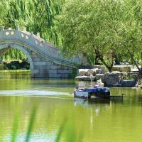 China Gas Powered RC Boats Urban Rivers Trash Robot USV Boat For Lake Vegetation Removal for sale