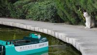 China Small Electric Thruster Pond Maintenance Boat Lake Weed Harvester SMURF20 for sale