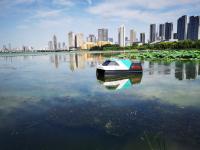 China Radar Controlled Water Grass Cutting Boat Pond Harvester 24.7 Acres / Boat 480W for sale